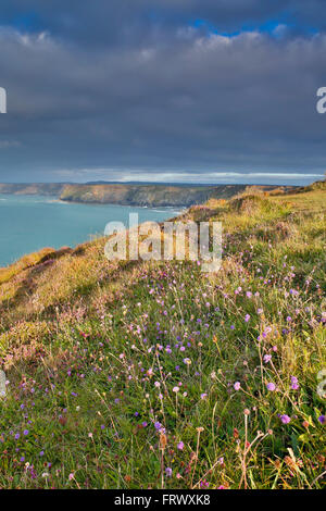 Navax Point near Godrevy, Cornwall, UK. Viewed from west of Hell's ...