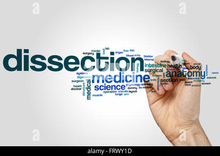 Dissection word cloud concept Stock Photo - Alamy
