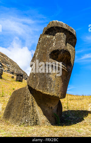 Stone moai in Rano Raraku moai quarry on Easter Island, Chile Stock ...