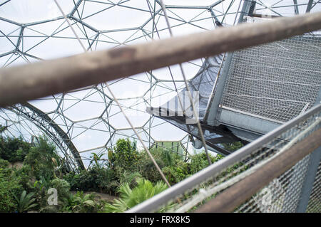 The Lookout, Eden Project Stock Photo - Alamy