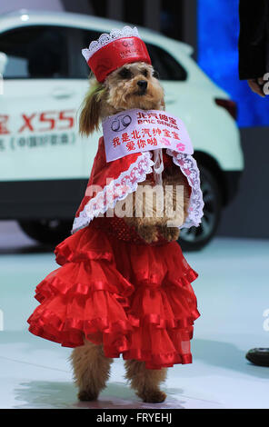 Ningbo, China's Zhejiang Province. 25th Sep, 2023. Ishii Miki of Japan ...