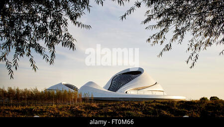 Distant view towards opera across wetland' s reed. Harbin Opera House ...