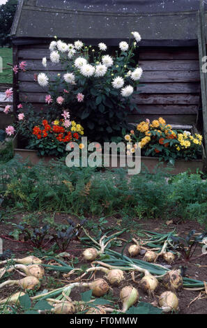 wooden,garden,shed,sheds,gardens,gardening,hut,attractive,garden ...