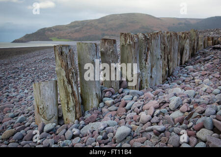 Old Wooden Groynes near Minehead Harbour at the Start of the South West ...