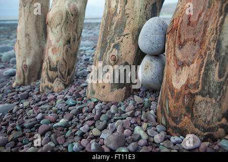 Old Wooden Groynes near Minehead Harbour at the Start of the South West ...