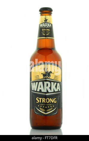 Warka strong beer isolated on white background Stock Photo - Alamy
