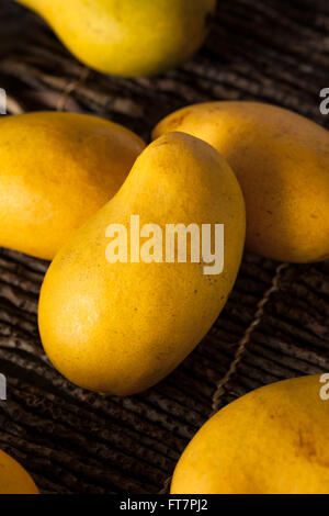 Raw Organic Yellow Mangos Ready to Eat Stock Photo - Alamy