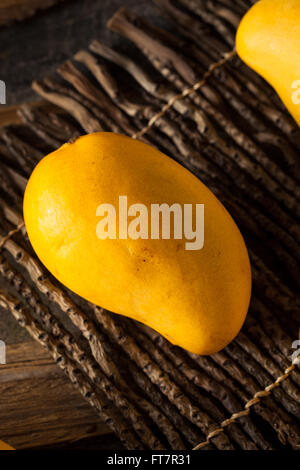 Raw Organic Yellow Mangos Ready to Eat Stock Photo - Alamy