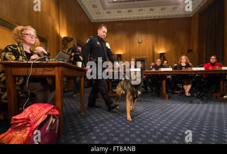 CBP Canine Officer Dowling and his partner Nicky demonstrate the use of ...