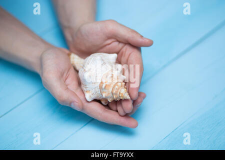 Male fingers hold a seashell on blue wooden background Stock Photo - Alamy