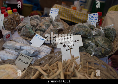 Traditional herbs,plants & potions for sale on the Island of Siquijor ...