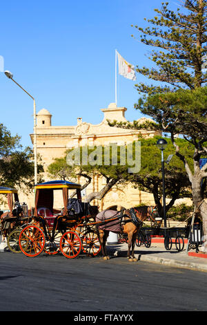 Horse drawn carriage (Karozzin) outside Mdina gateway, Mdina Malta ...