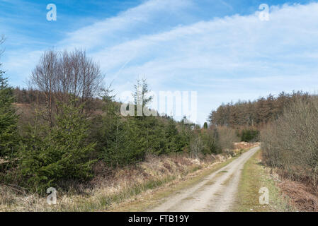 Path through St Gwynno Forest Stock Photo - Alamy