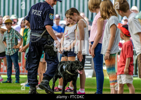 The New South Wales Police Dog Unit put on a display of police and ...