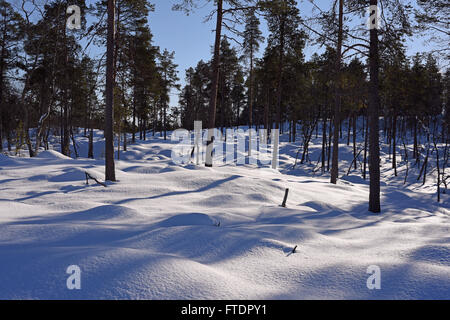 Finland Inarijarvi lake in Inari fisherman in Midnight Sun Stock Photo ...