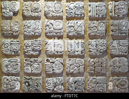 Detail of ancient Mayan carved writing in a stone exposed at El Mirador ...