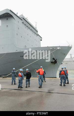 The container ship MV Cape Ray arrives at Naval Station Rota, Spain, on ...