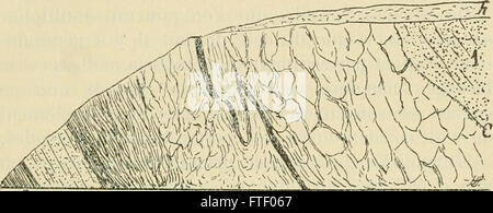 The Bulletin of the Neuchâtel Society of Natural Sciences from 1917 ...