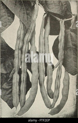 Catalog - spring 1968 (1968 Stock Photo - Alamy