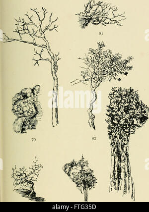 *Die Baumzeichnung in der deutschen Graphik* (1910) explores the ...