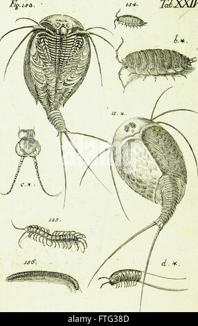 This 1761 work by Karl Linnaeus details the characteristics of insects ...