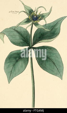 'Elements of the Science of Botany' (1812) outlines Linnaeus' botanical ...