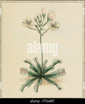 'Elements of the Science of Botany' (1812) outlines Linnaeus' system of ...
