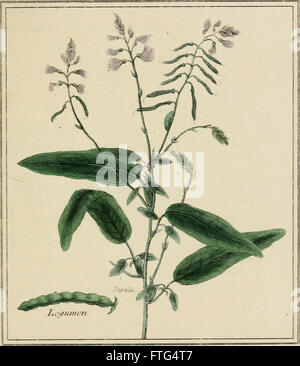 Linnaeus' *Elements of Botany* (1812) outlines his classification ...