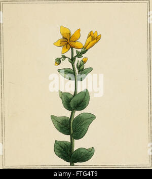 This 1812 work outlines the principles of botany according to Carl ...