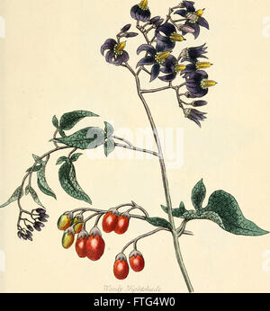 Linnaeus' *Elements of Botany* (1812) outlines his classification ...