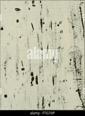 This annual report provides an overview of Michigan’s agricultural ...