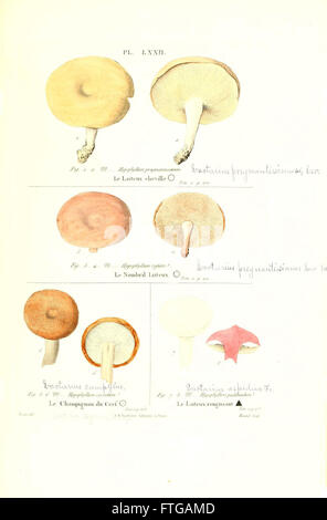 This plate from Paulet's 'Iconographie des Champignons' illustrates ...