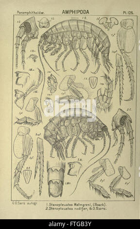 This work documents the crustacean species found in Norway, providing ...