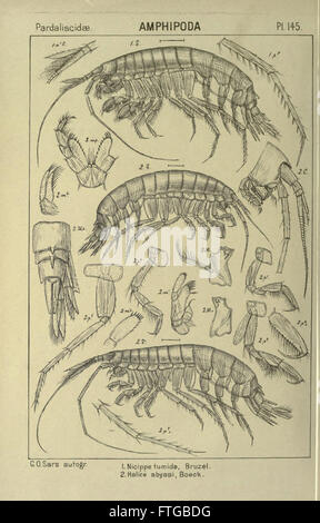 This work, 'An Account of the Crustacea of Norway,' presents a detailed ...