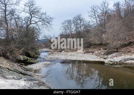 Part of dry river in the woods during spring Stock Photo - Alamy
