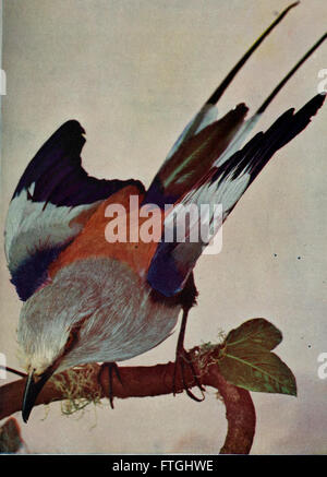 This publication explores nature through color photography, focusing on ...