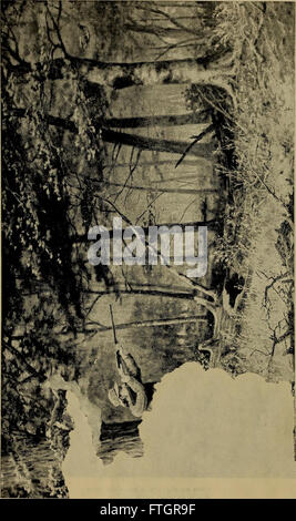 This 1894 book offers a collection of articles that highlight the ...