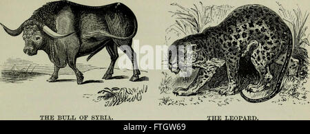 Sacred Geography and Antiquities (1872) explores the geographic ...