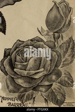'Spring 1899' (1899) is a publication reflecting on the events, culture ...