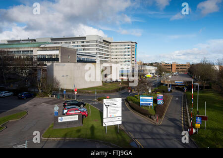 Heath hospital in Heath, Cardiff, south Wales Stock Photo - Alamy