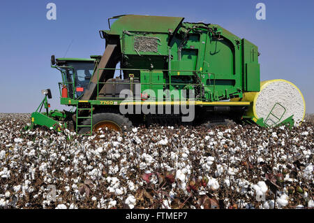 Planting of cotton and combine advanced technology Stock Photo - Alamy