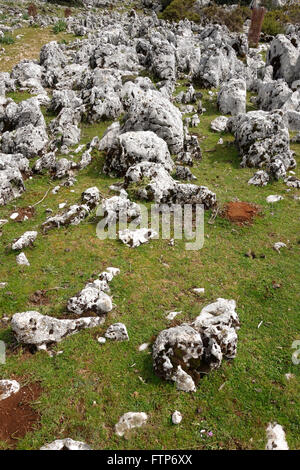 Lapiés or Lapiaz, Karstic weathered limestone surface, mountains ...
