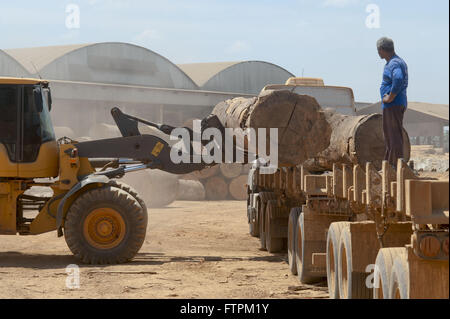 front loader for loading timber. an industrial tractor transports ...