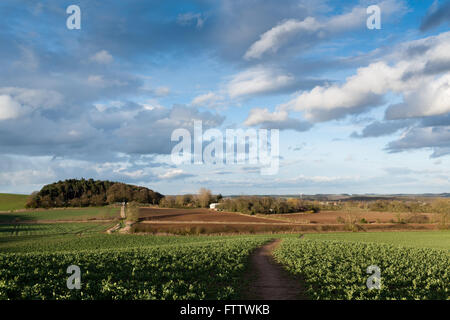 Misk Hills ,Hucknall Nottinghamshire,UK Stock Photo - Alamy