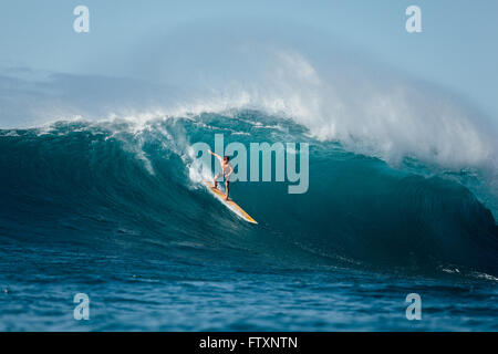 Wave, Waimea Bay, North Shore, Oahu, Hawaii Stock Photo - Alamy