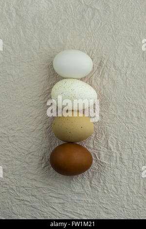 Three eggs in different colors laid by three types of chickens: Sussex ...