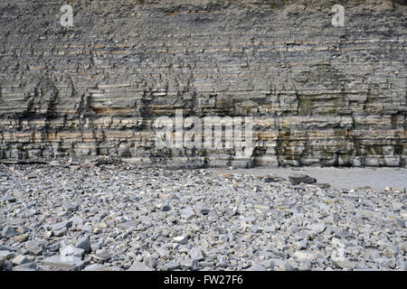 Rock strata in the cliff, and limestone pavement formation Lavernock ...