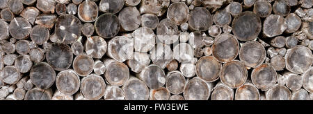 old tree trunks for firewood Stock Photo - Alamy