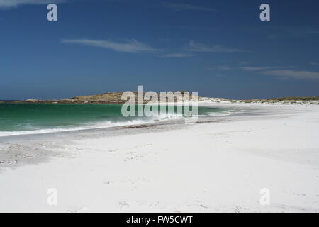 Falkland Islands - Surf Bay, Stanley Stock Photo - Alamy