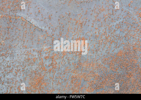 Rust on metal surfaces Caused by a reaction of metal and air humidity ...